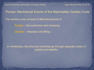 Mammalian Circulatory system | PPT