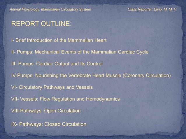 Mammalian Circulatory system | PPT | Heart and Cardiovascular Diseases | Diseases and Conditions