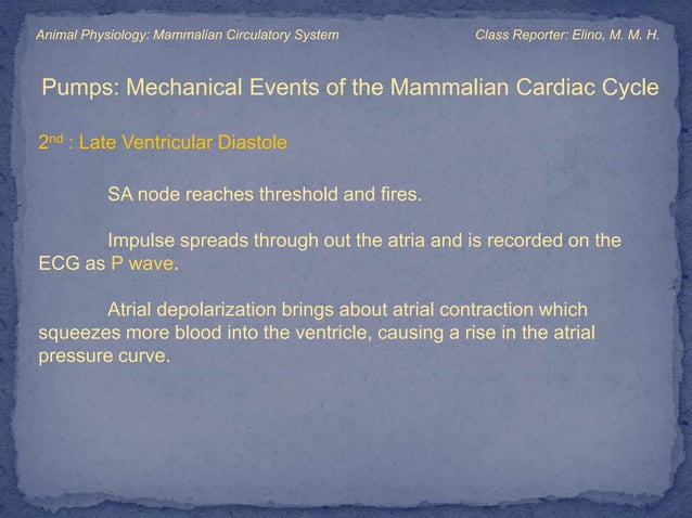 Mammalian Circulatory system | PPT | Heart and Cardiovascular Diseases | Diseases and Conditions