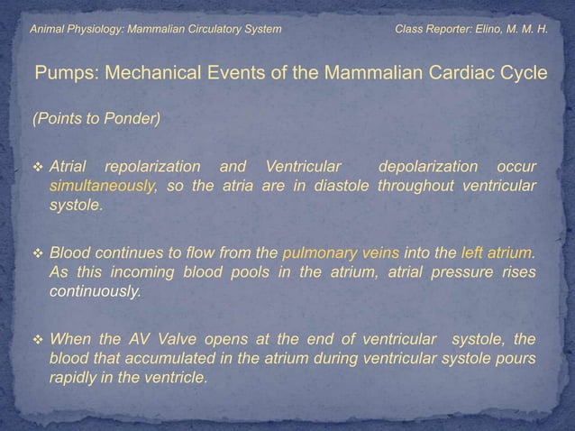 Mammalian Circulatory system | PPT | Heart and Cardiovascular Diseases | Diseases and Conditions