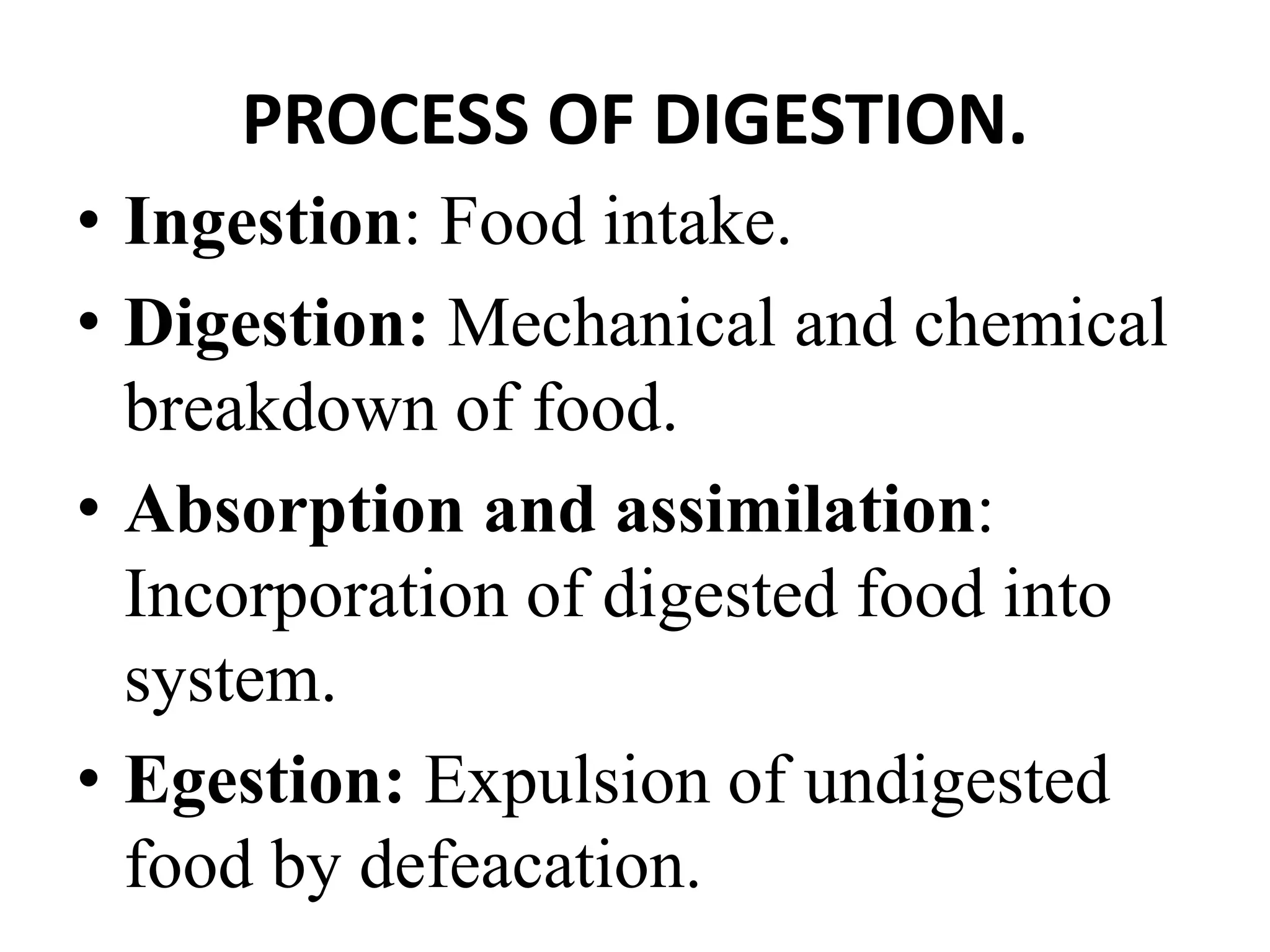 Mammalian Digestive system-1.pptx
