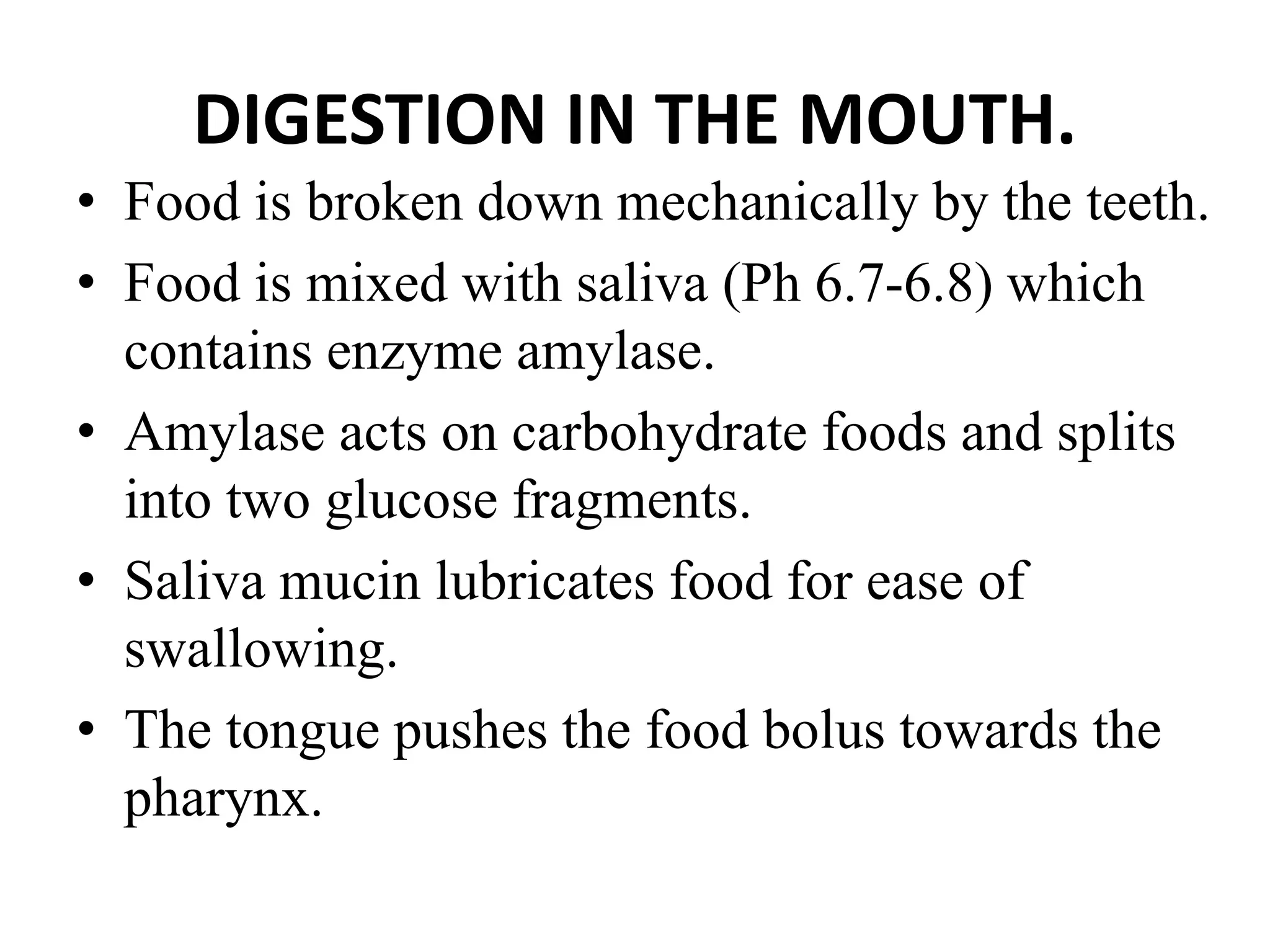 Mammalian Digestive system-1.pptx