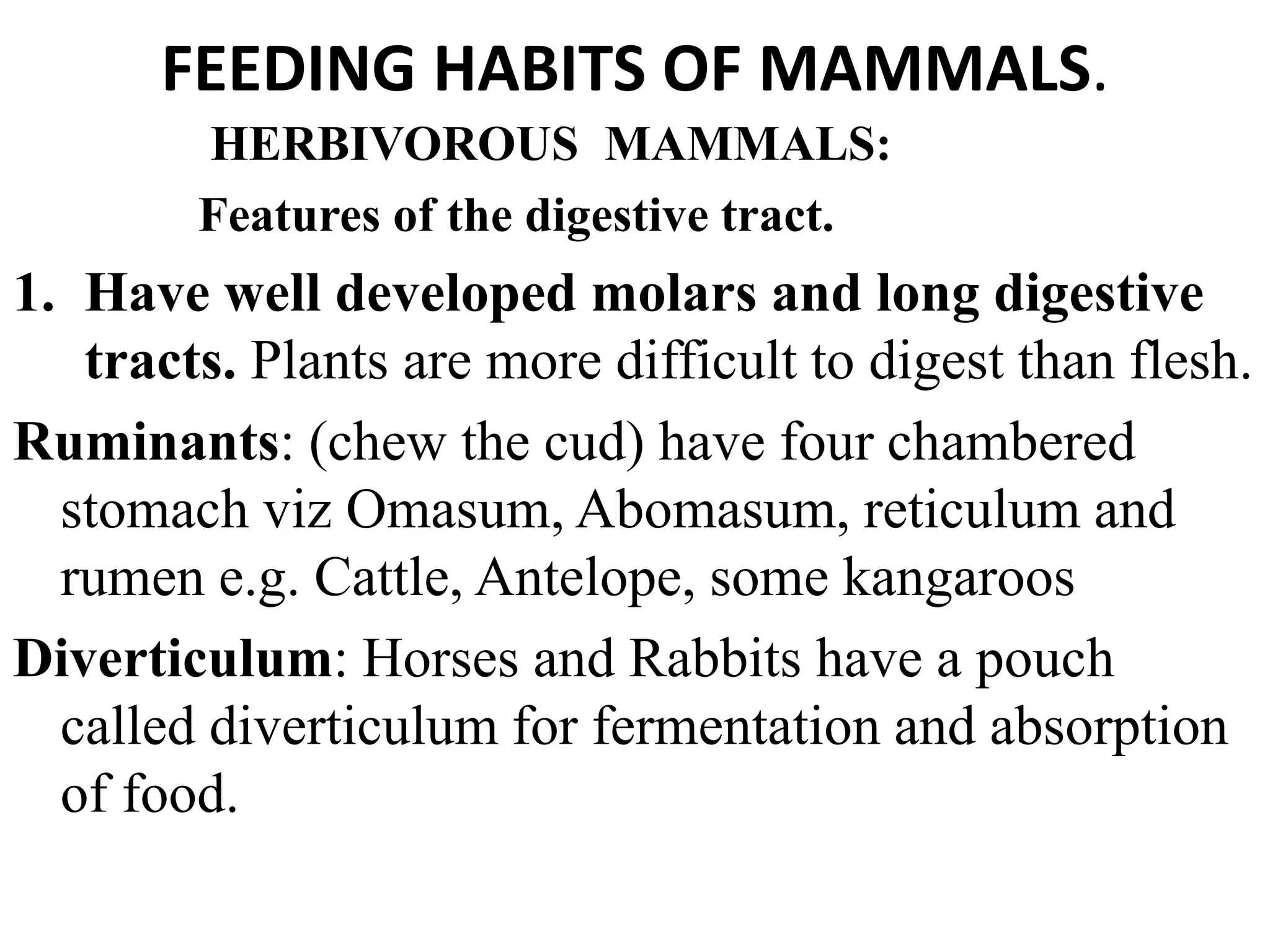 Mammalian Digestive system-1.pptx