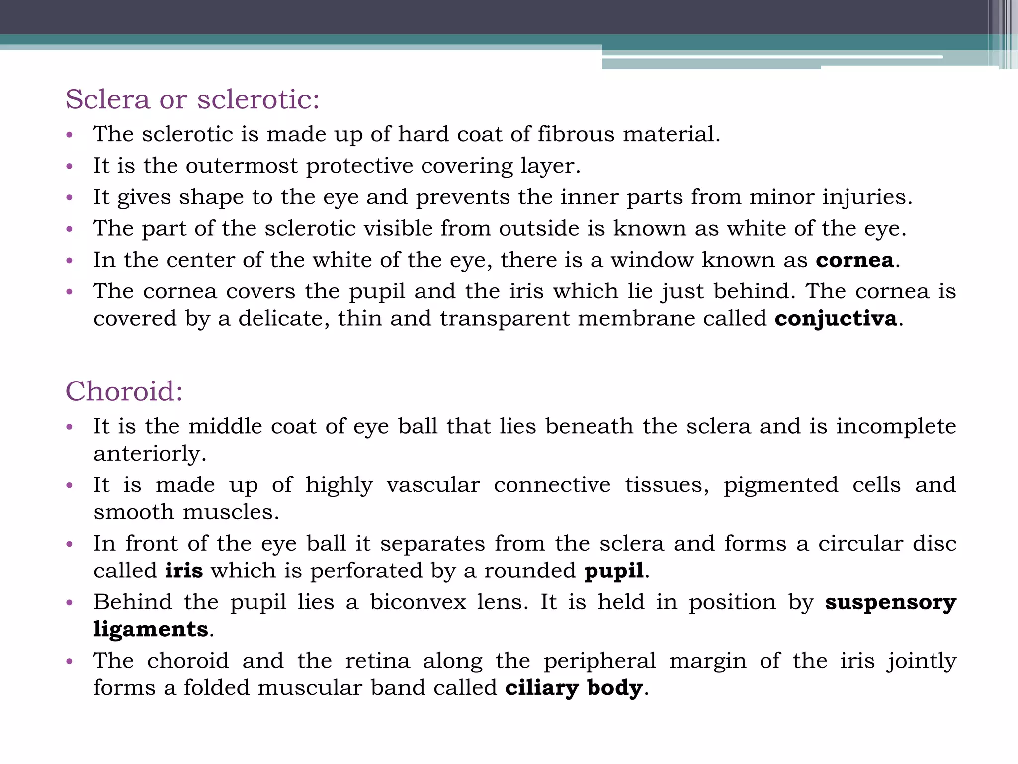 Mammalian eye | PPTX