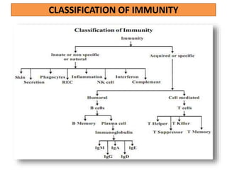 Mammalian immune response an overview | PPTX