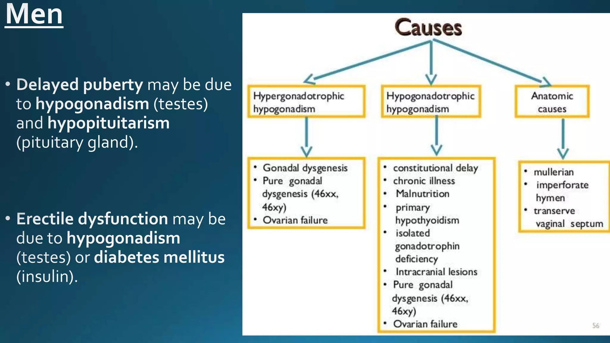 Mammalian reproductive physiology: REPRODUCTIVE DYSFUNCTIONS ...