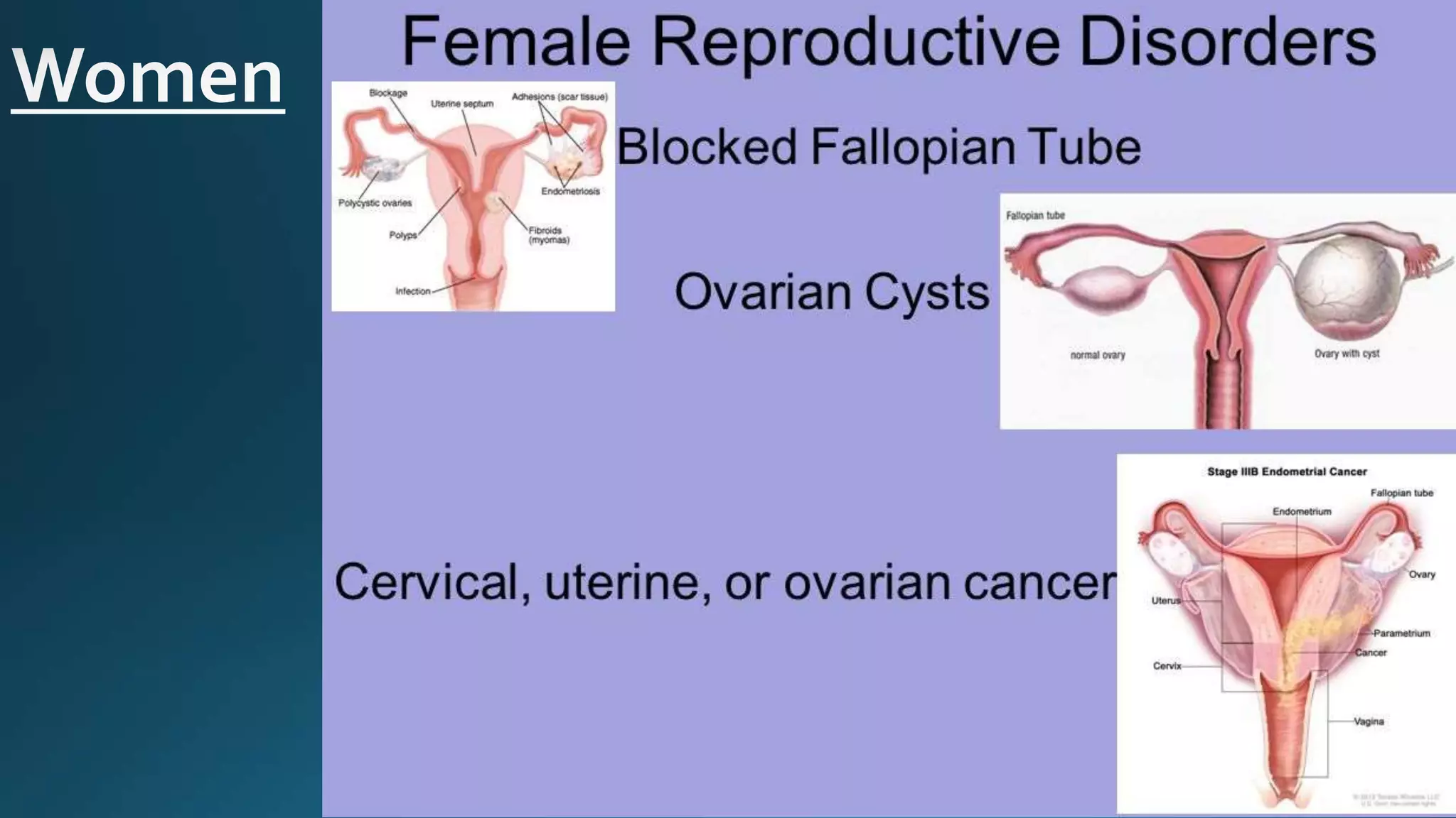 Mammalian reproductive physiology: REPRODUCTIVE DYSFUNCTIONS ...