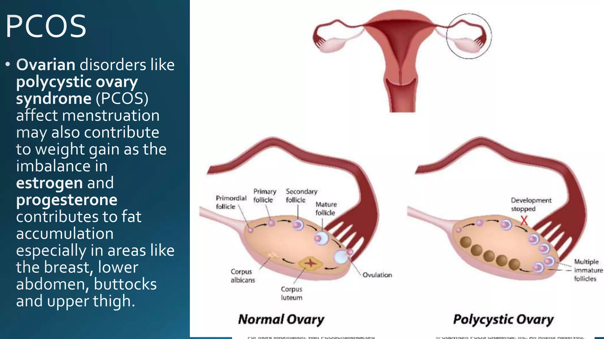 Mammalian reproductive physiology: REPRODUCTIVE DYSFUNCTIONS ...