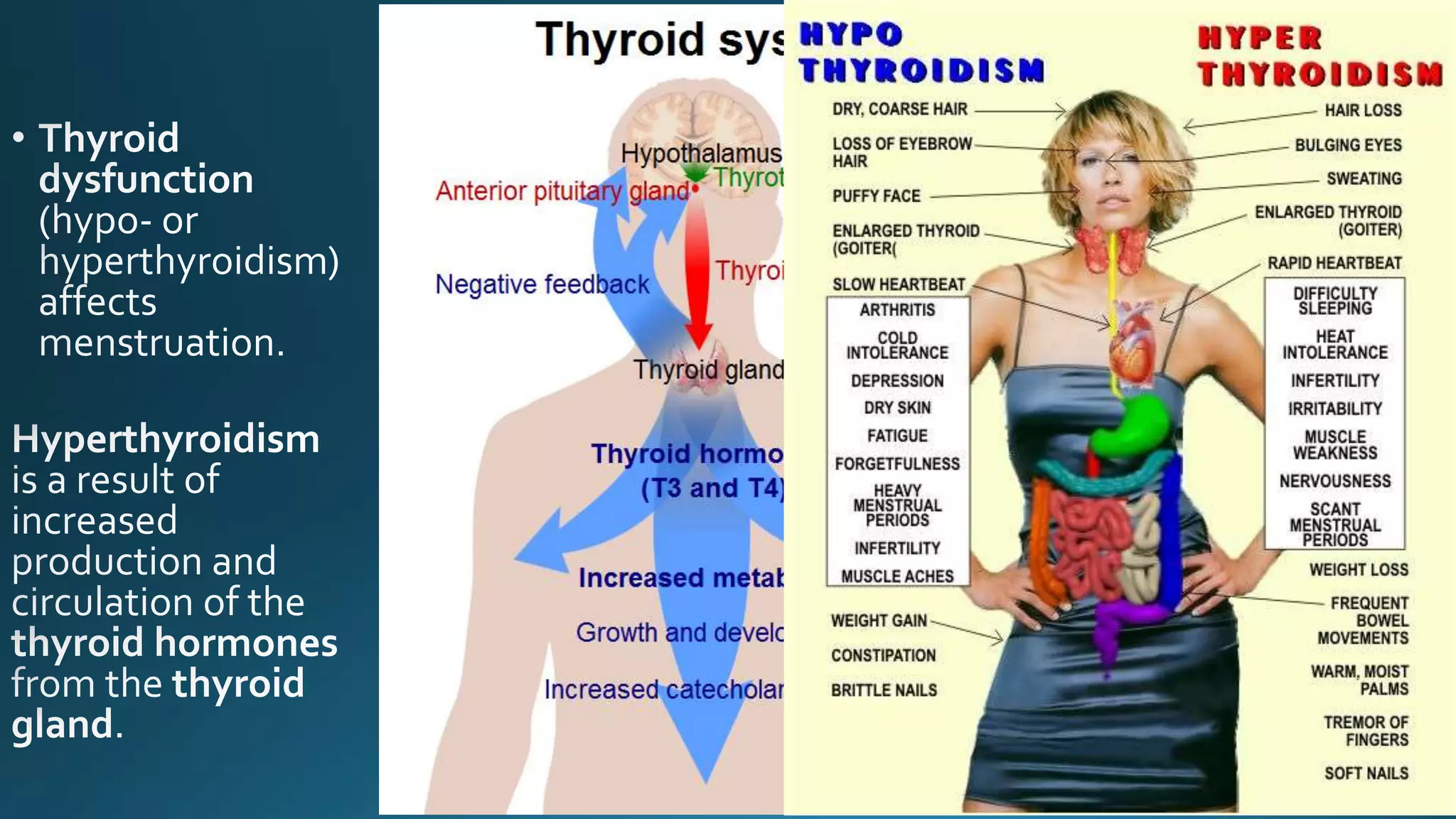 Mammalian reproductive physiology: REPRODUCTIVE DYSFUNCTIONS ...