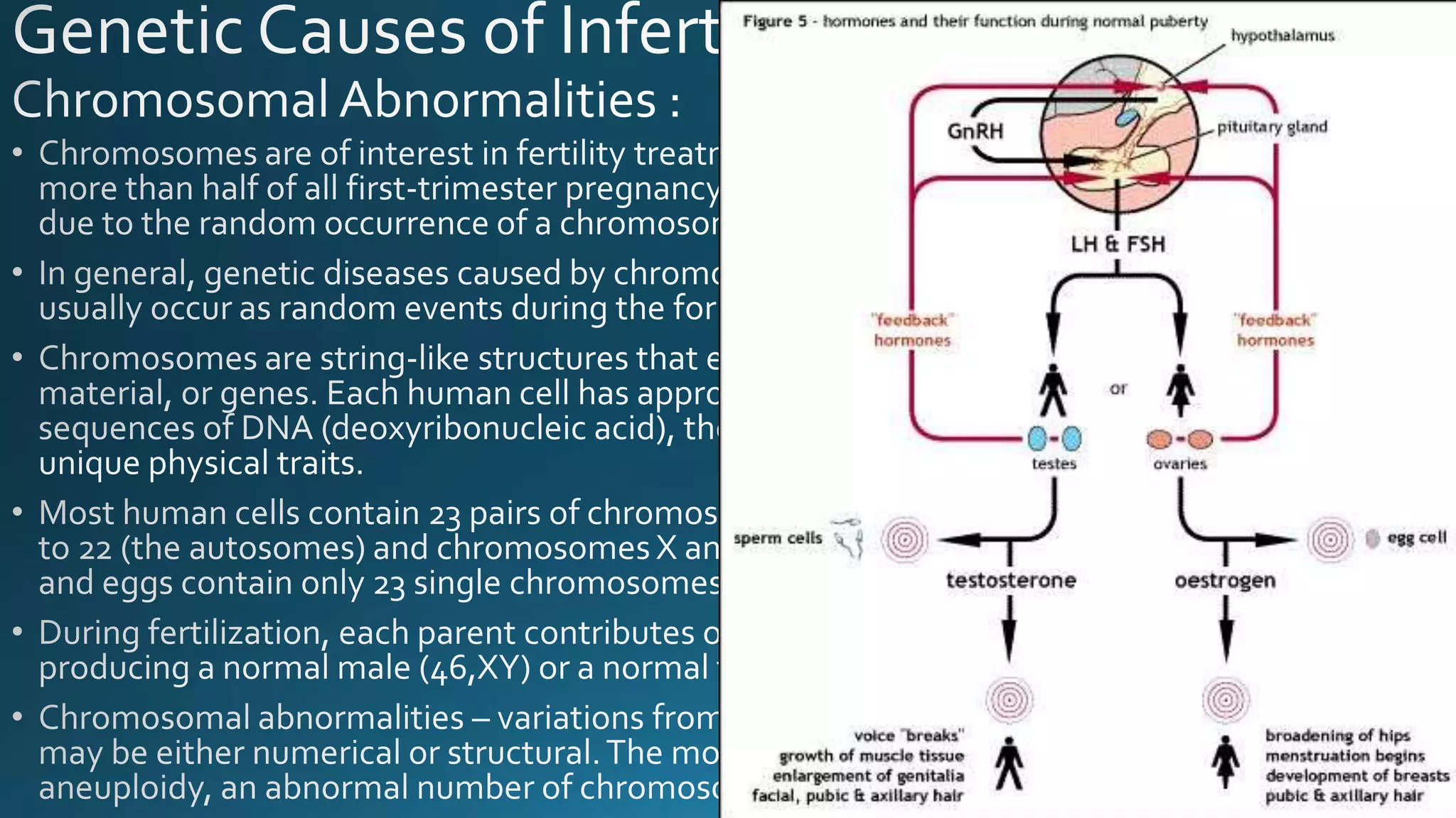 Mammalian reproductive physiology: REPRODUCTIVE DYSFUNCTIONS ...