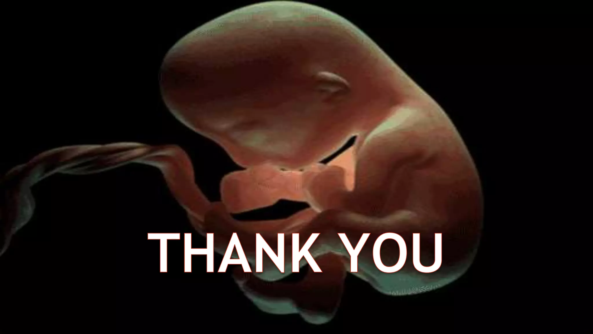 Mammalian reproductive system - Female | PPT