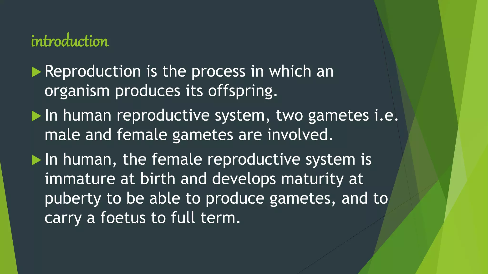 Mammalian reproductive system - Female | PPT