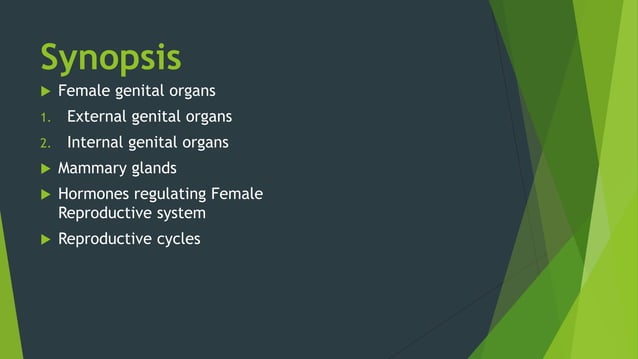 Mammalian reproductive system - Female | PPT
