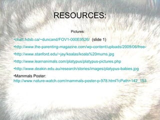 Mammal notes: Notes on Family Mammalia and subgroups placental ...