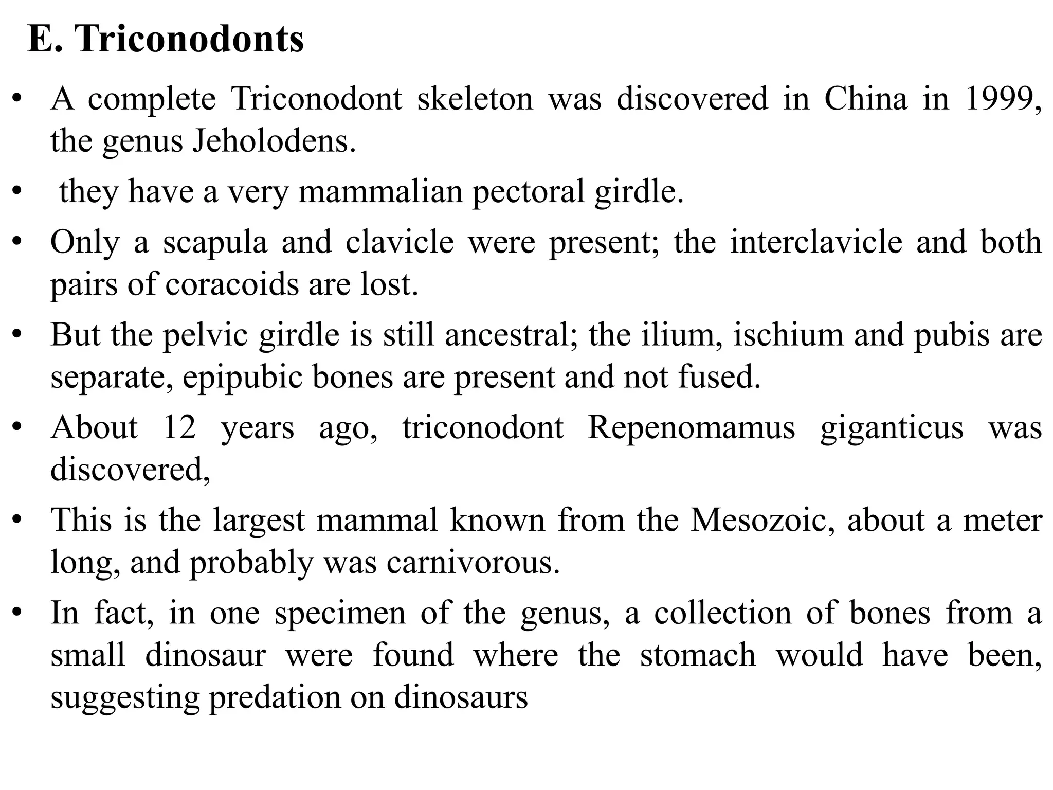 lectures number 3 mammalogy | PPTX