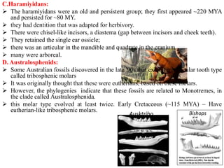 lectures number 3 mammalogy | PPTX