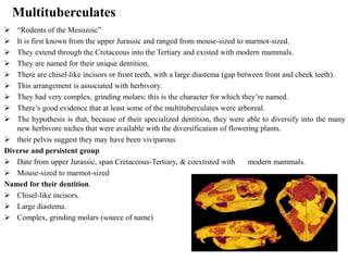 lectures number 3 mammalogy | PPTX