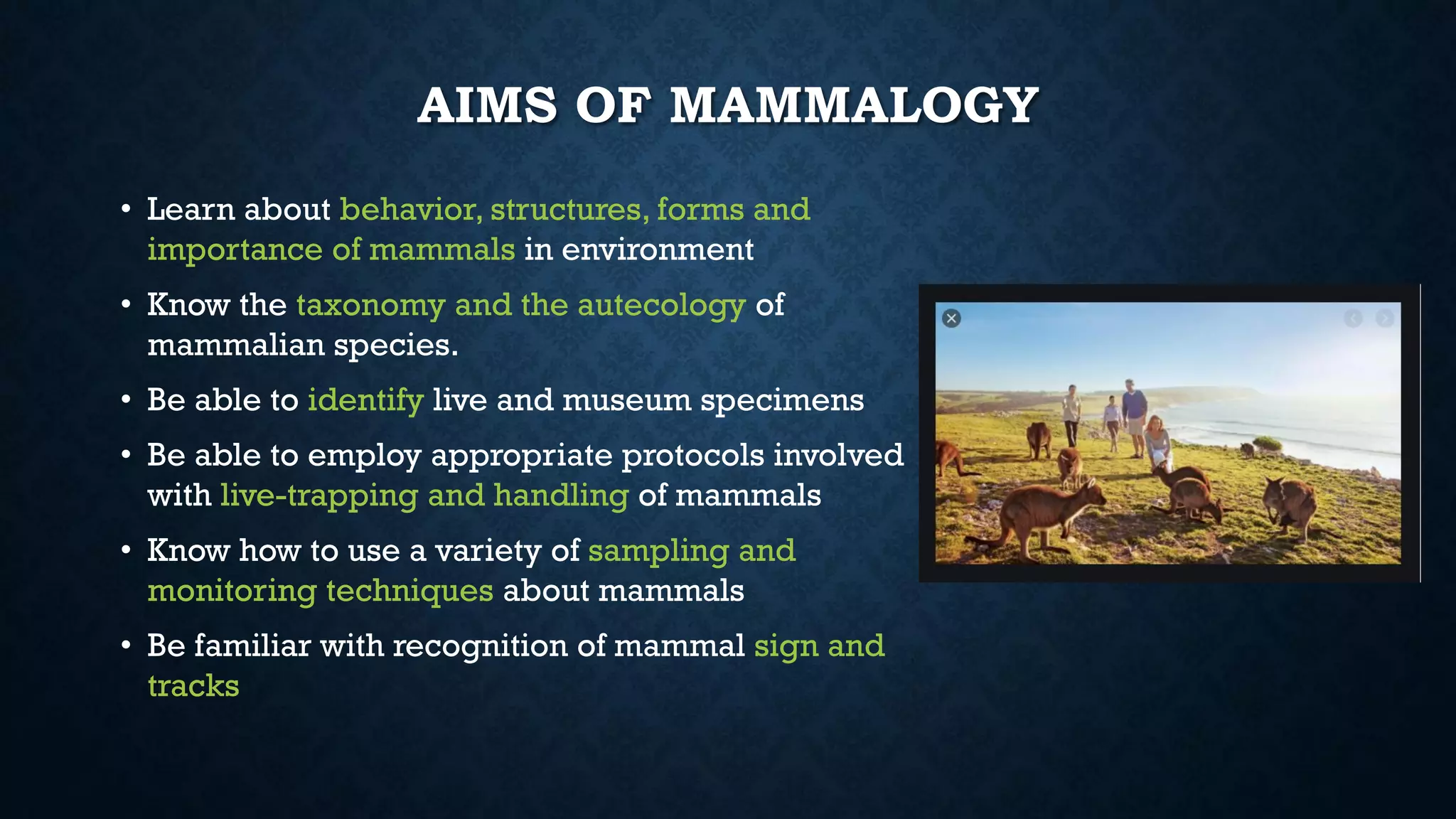 Mammalogy introduction and history | PDF