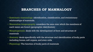 Mammalogy introduction and history | PDF