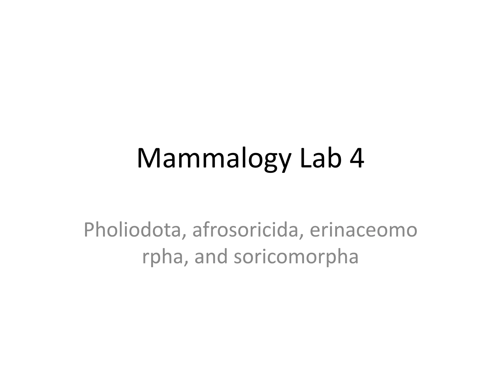 Mammalogy Lab 4 | PPTX