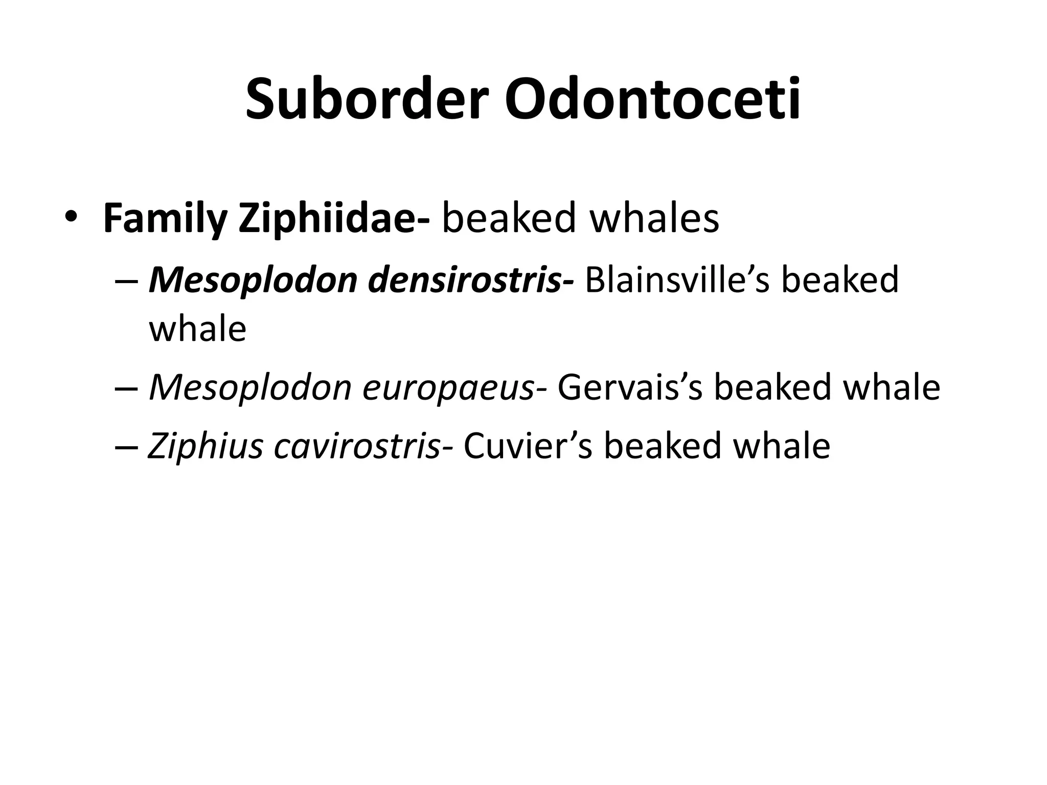 Mammalogy Lab 9 | PPT