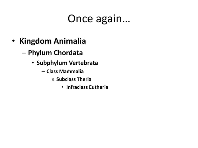 Mammalogy Lab 9 | PPT