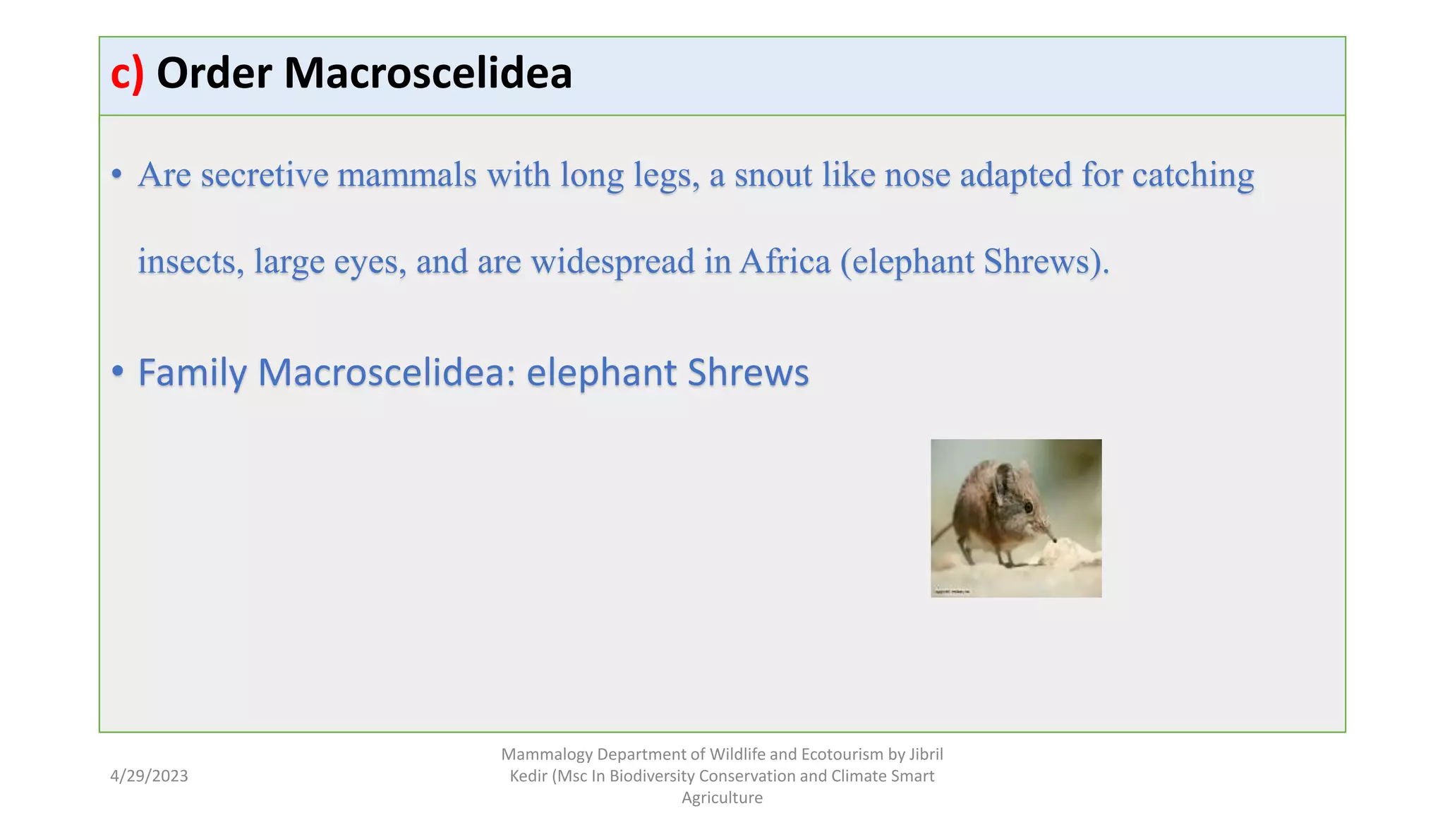 Mammalogy power point 2021-1.pptx
