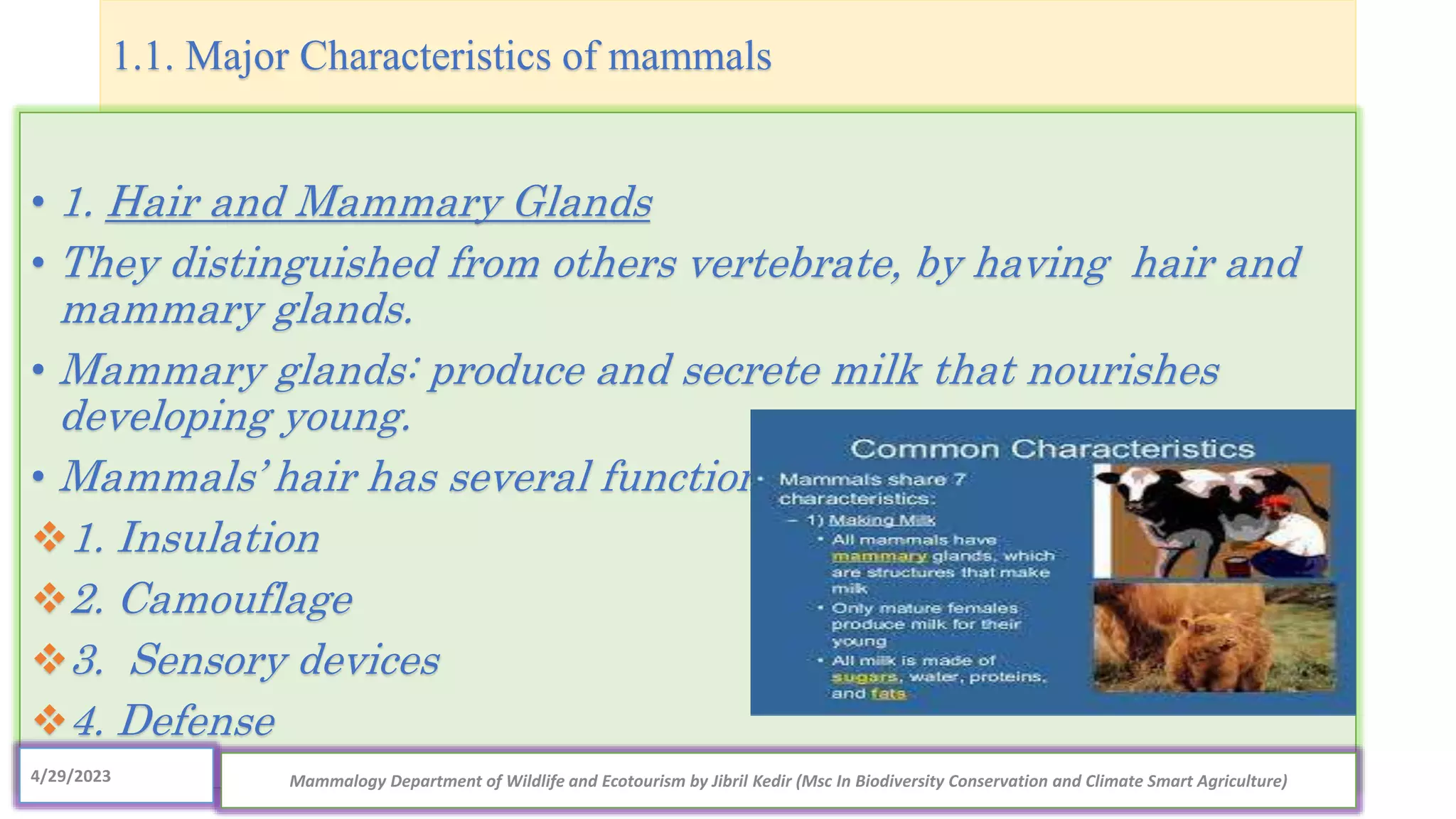 Mammalogy power point 2021-1.pptx