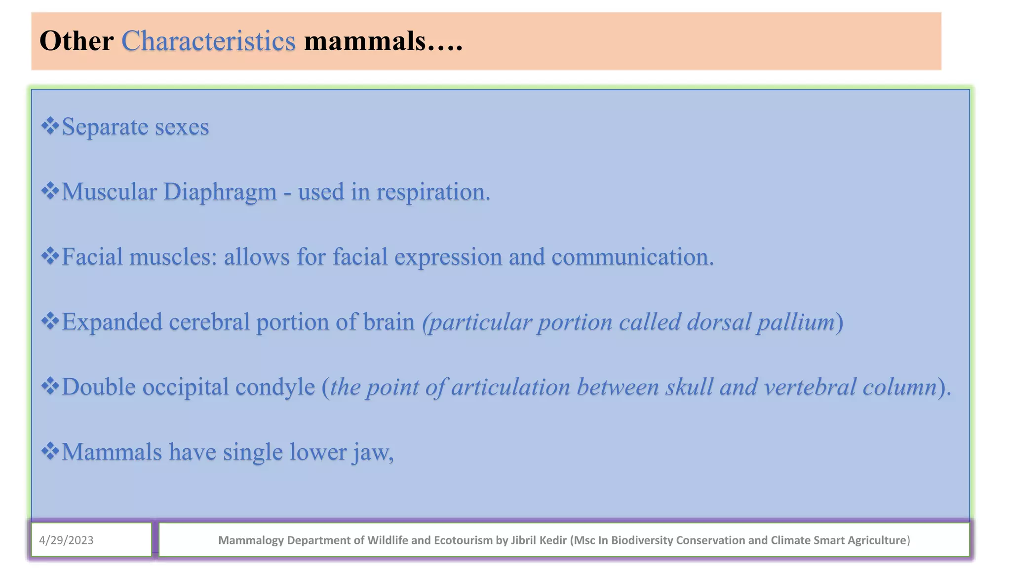 Mammalogy power point 2021-1.pptx
