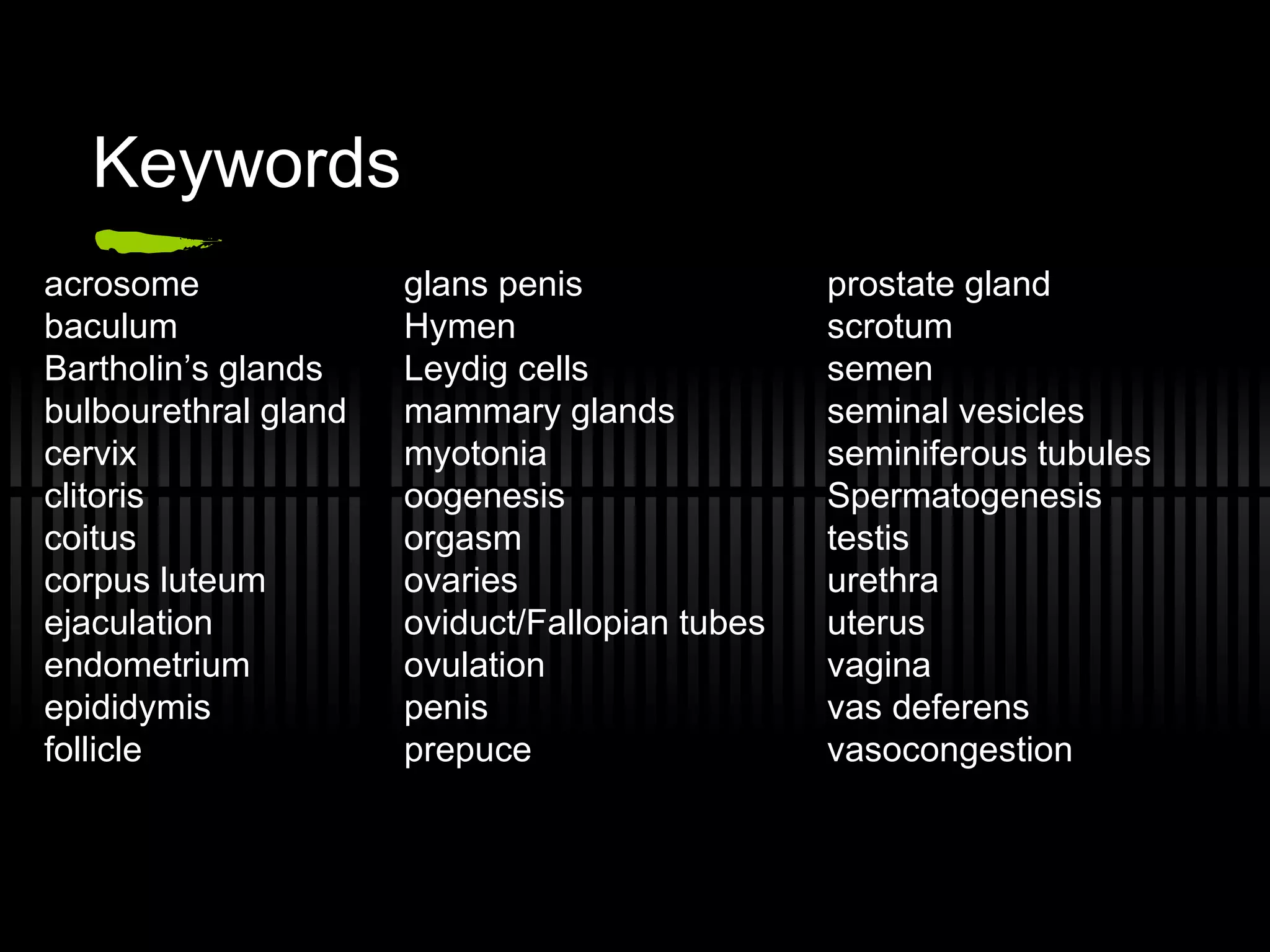 Mammalian Reproduction | PPT