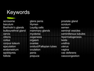 Mammalian Reproduction | PPT