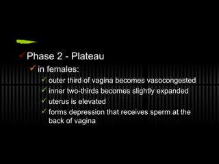 Mammalian Reproduction | PPT