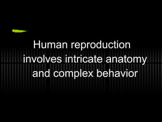 Mammalian Reproduction | PPT
