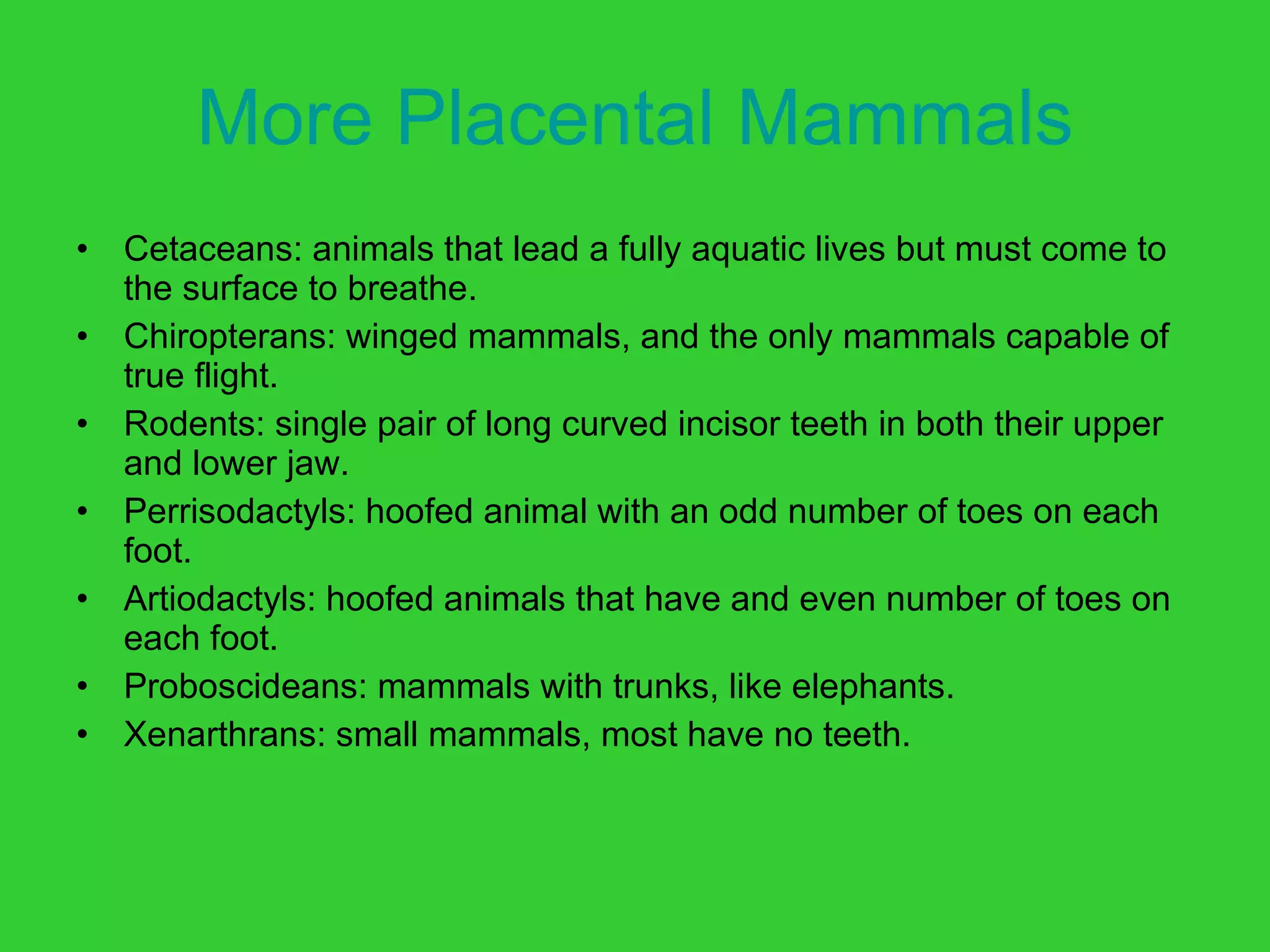 Mammals | PPT