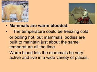 Mammals | PPT