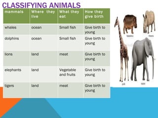 Mammals | PPT