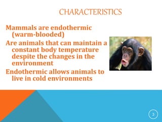 Mammals | PPTX