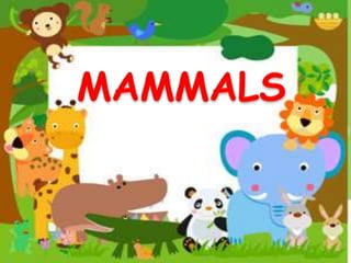 Mammals | PPTX