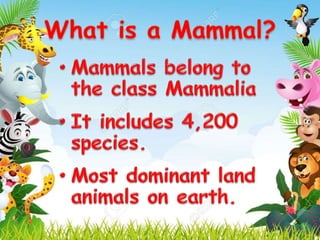 Mammals | PPTX