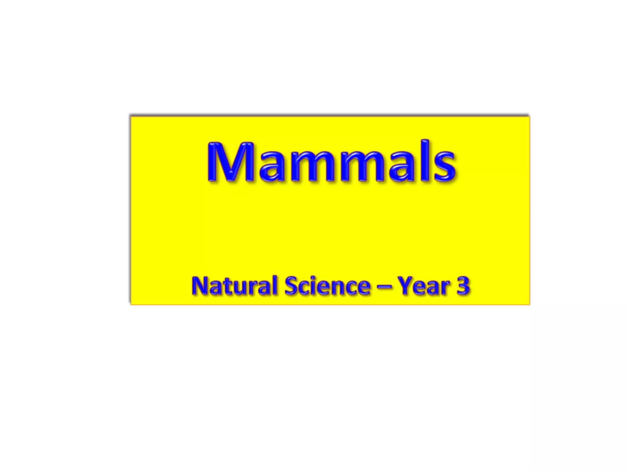 Mammals | PPT
