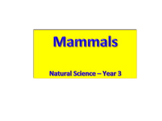 Mammals | PPT