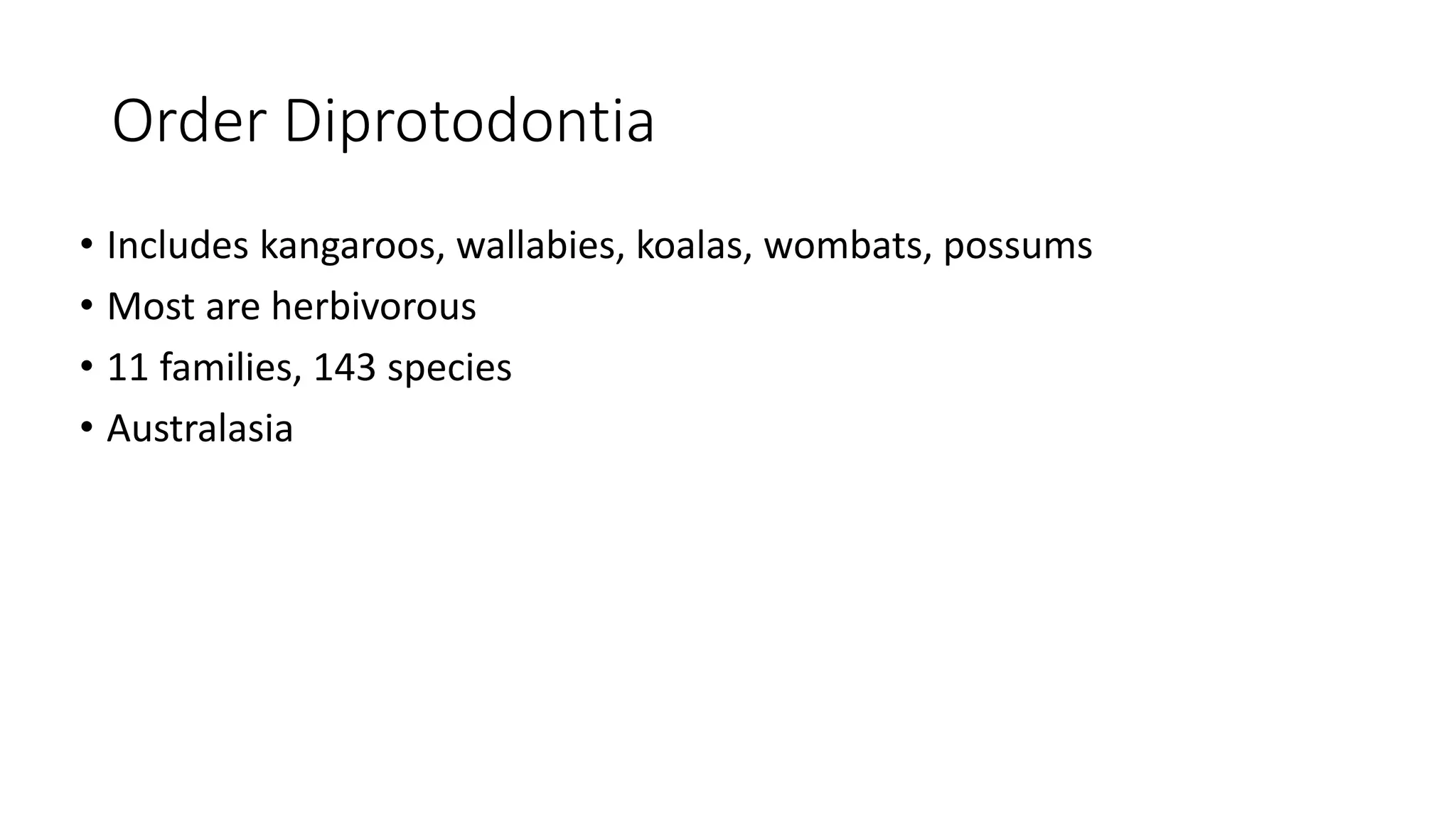 Class - Mammalia, mammals classification | PDF