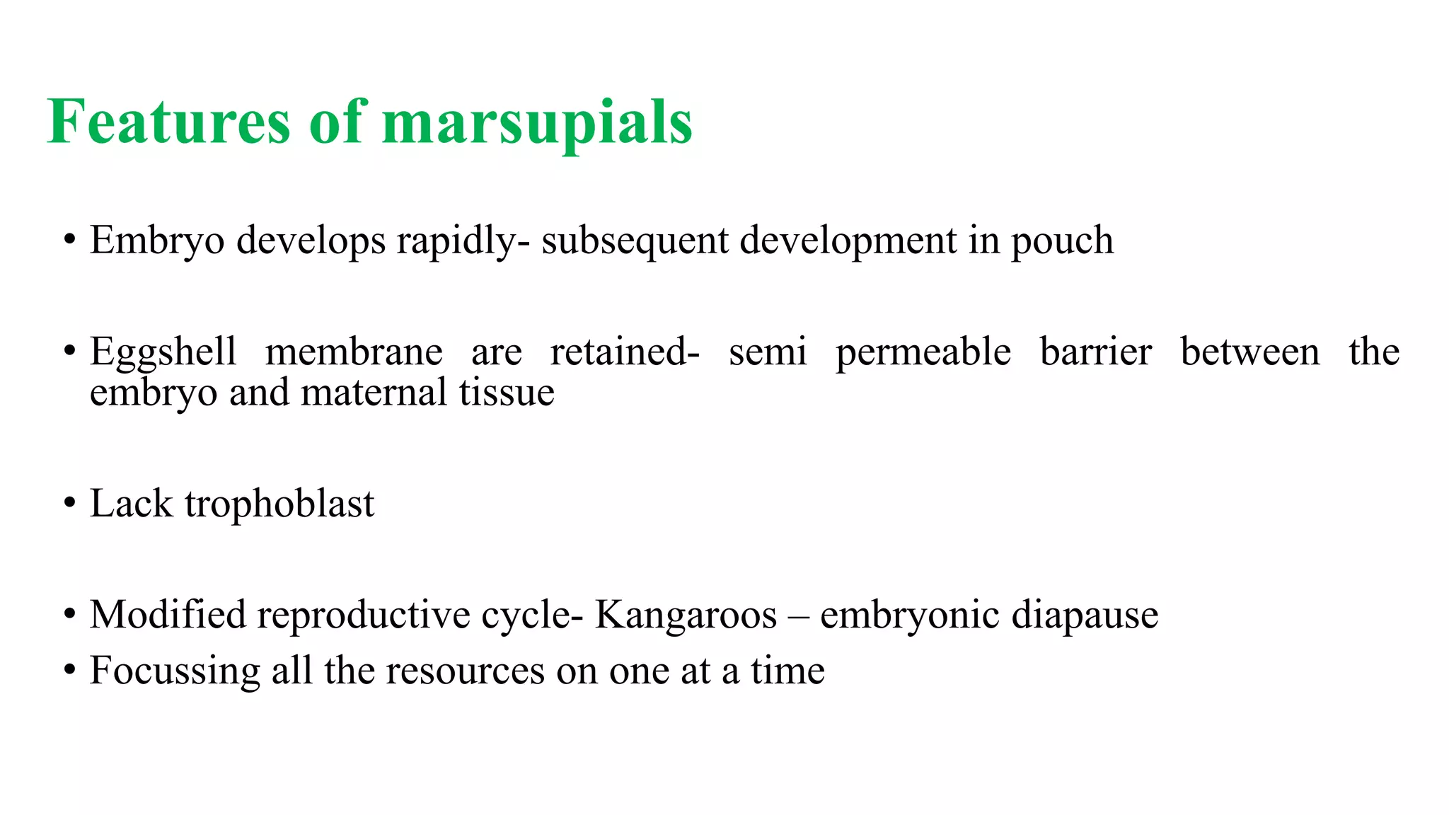 Class - Mammalia, mammals classification | PDF