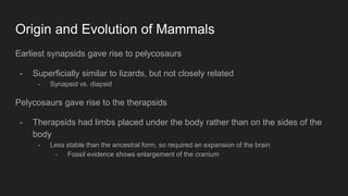 Mammals | PPTX