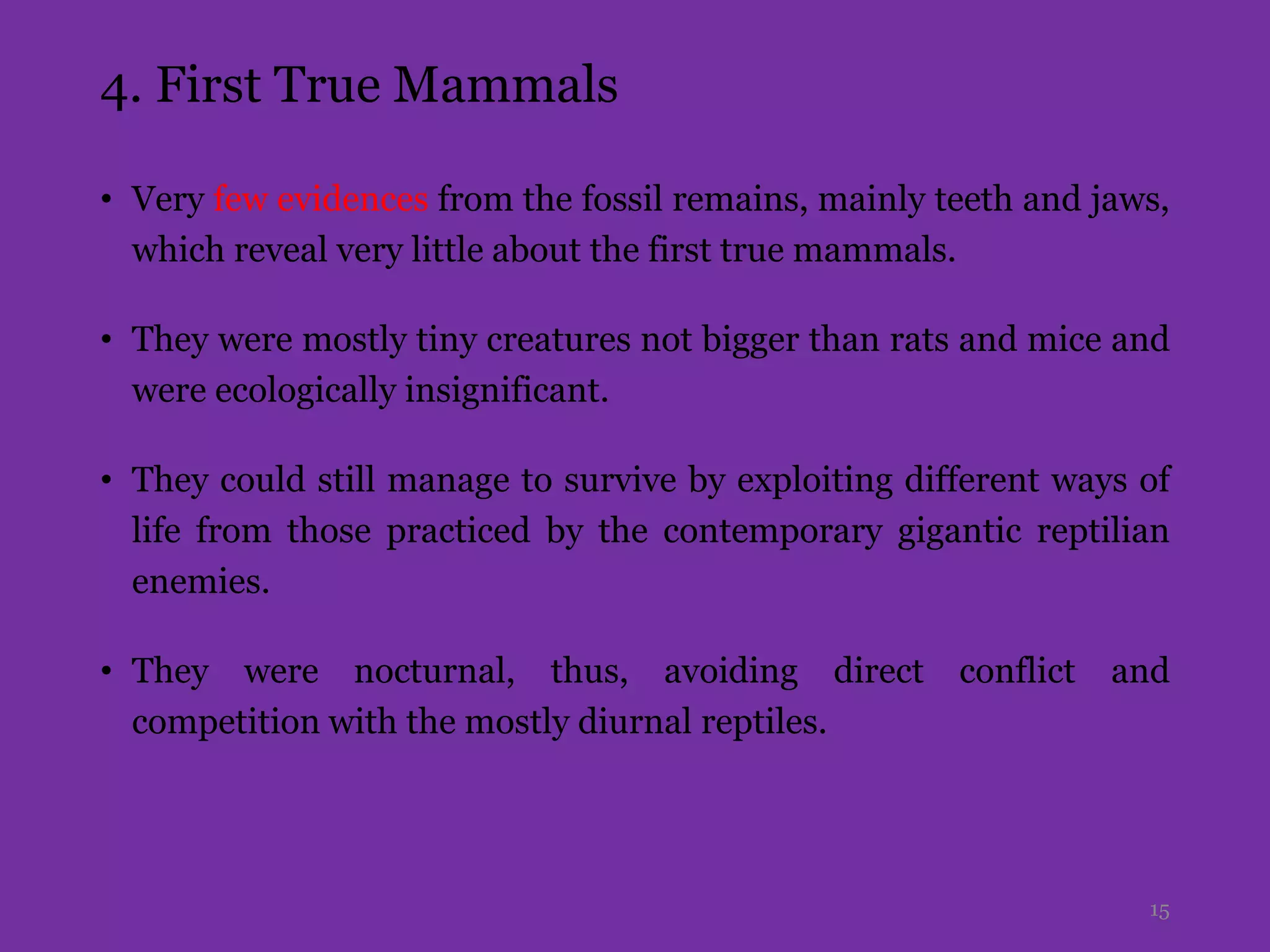 Origin and Evolution of Mammals | PPTX