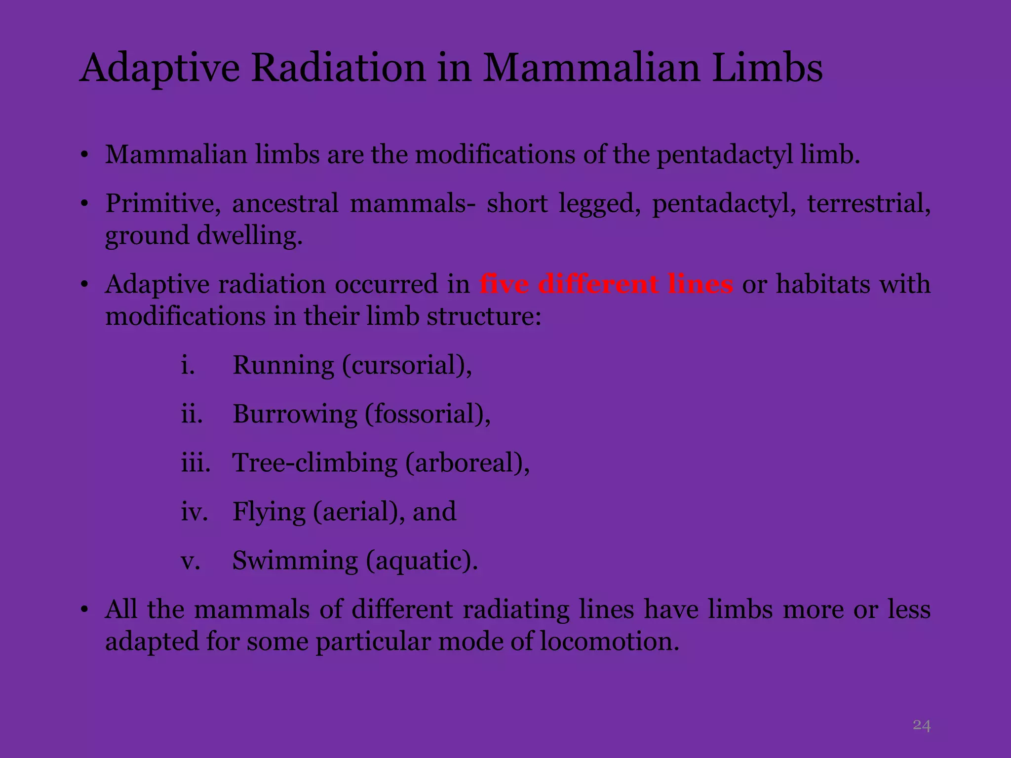 Origin and Evolution of Mammals | PPTX