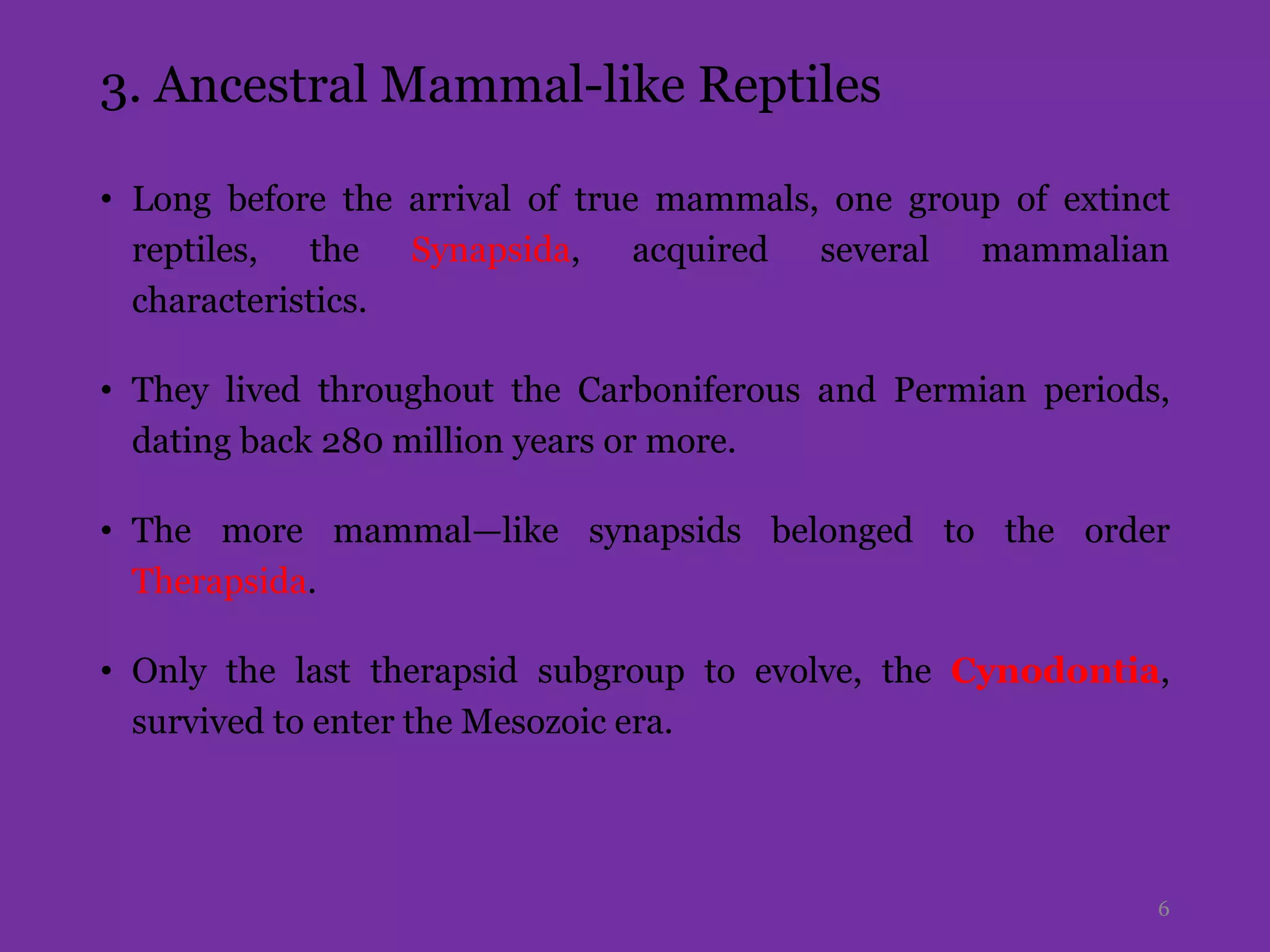 Origin and Evolution of Mammals | PPTX