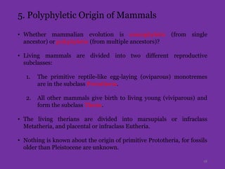 Origin and Evolution of Mammals | PPTX