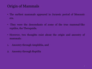 Origin and Evolution of Mammals | PPTX