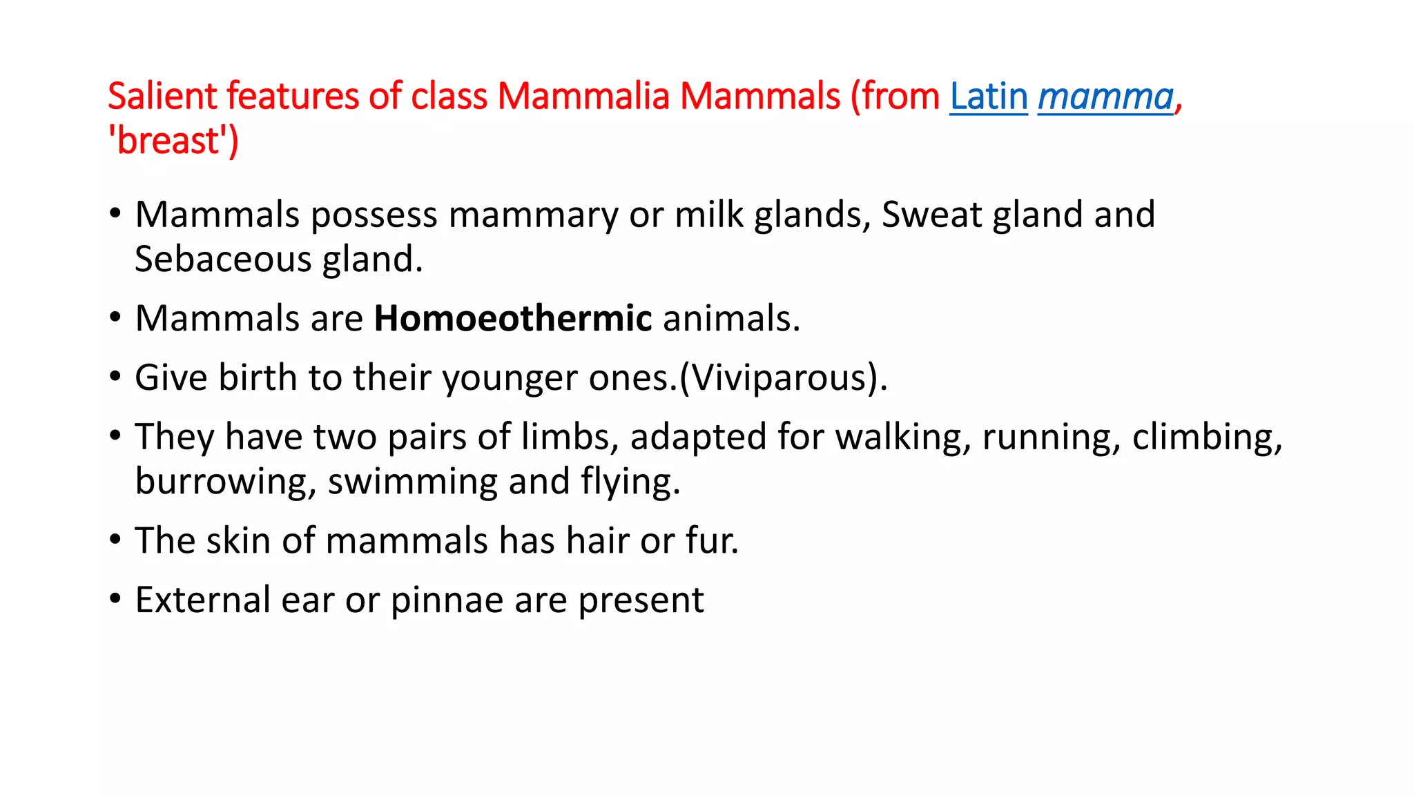 Mammal Features